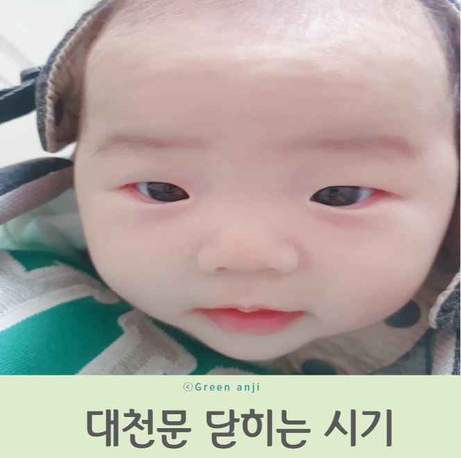 아기 신생아 대천문 닫히는 시기 소천문 크기와 위치 네이버 블로그