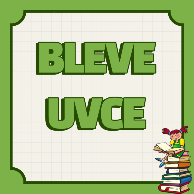 BLEVE UVCE 블레비 증기운 폭발 : 네이버 블로그