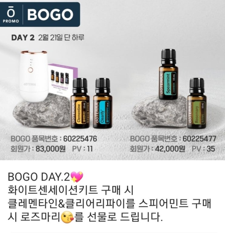 도테라 최대 이벤트, Bogo Day 2월21일 단하루! 보고오일은~ : 네이버 블로그