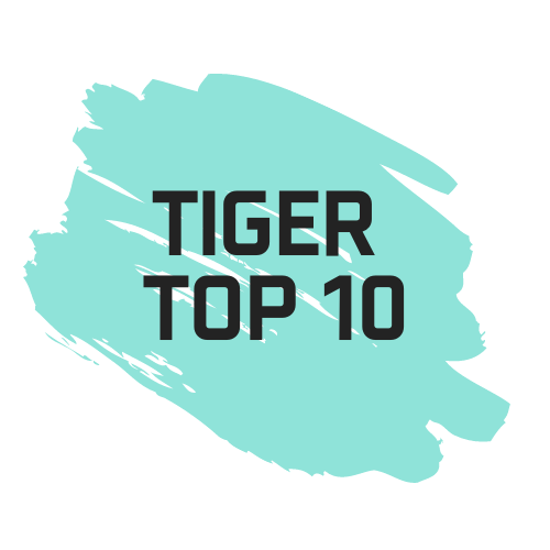 [ETF 분석] TIGER TOP10 : 시가총액순위 높은 국내 우량주 투자 방법 (vs 코스피200 수익률 비교) : 네이버 블로그