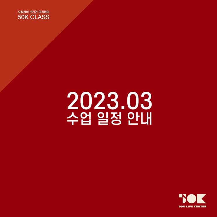 오십케이 반려견 교육 일정 안내 그룹 수업 행동수정11 산책모임 사회화훈련 202303일정 신규개편 수원광교