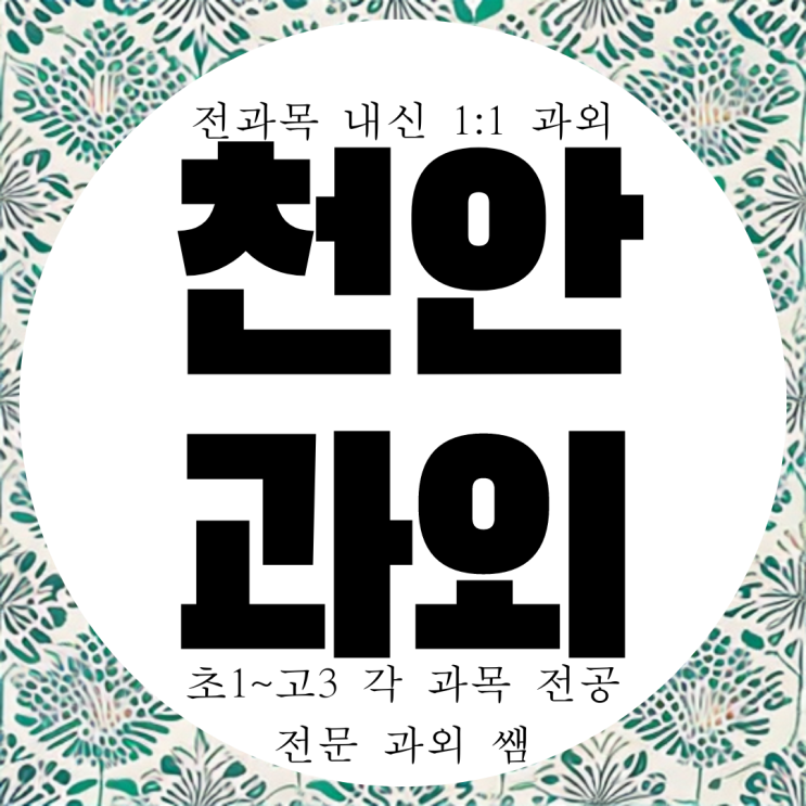 천안 두정동 방문 전과목 과외 고등 북일고 내신 영어 수학 중등 영수 과학 북일여고 전문 과외 네이버 블로그