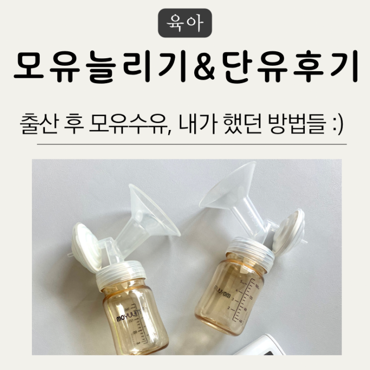 모유수유 늘리기 방법 기간 유축 아기 수유텀 단유 끊기 가슴마사지 네이버 블로그