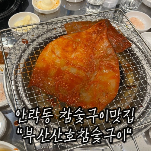 안락동 닭목살구이 닭발 오징어숯불구이 맛집 추천 부산산호참숯구이 네이버 블로그
