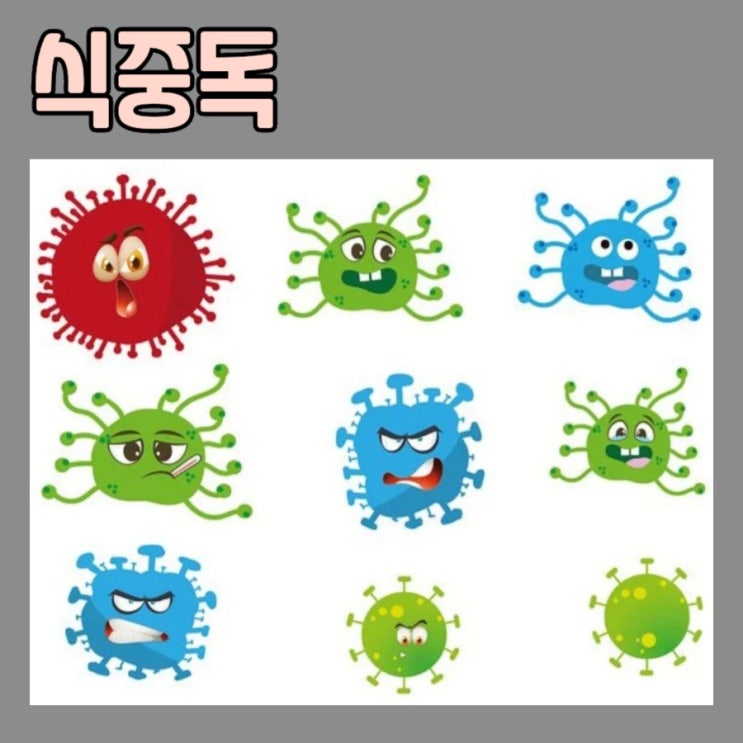 식중독 원인 증상 ️식중독 종류ㅣ비브리오살모넬라대장균포도상구균노로바이러스 네이버 블로그