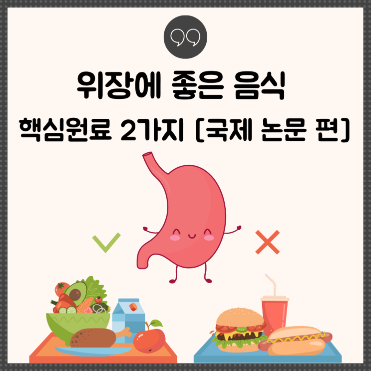 위장에 좋은 음식 핵심원료 2가지 국제 논문 편 네이버 블로그