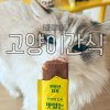 페페로니 고양이 간식 추천 캣츄와 스틱 급여후기 네이버 블로그