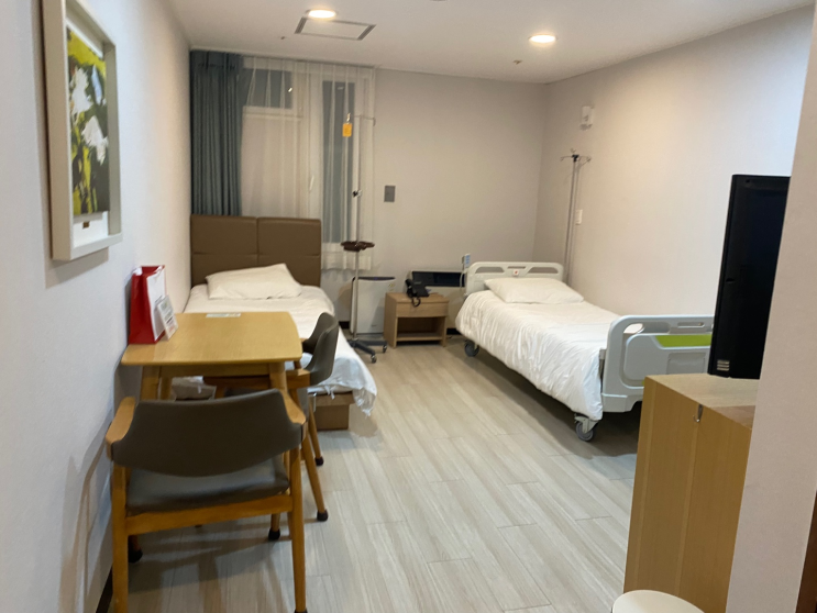 임신일기 22주~26주 증상 임산부 감기 비염 약처방 소화불량 안구건조증 정밀초음파 임당검사 철분주사 네이버 블로그