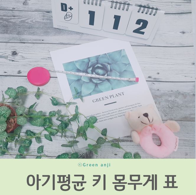아기평균 키 몸무게 개월별 신생아 영아 유아 아기성장발달계산기 네이버 블로그
