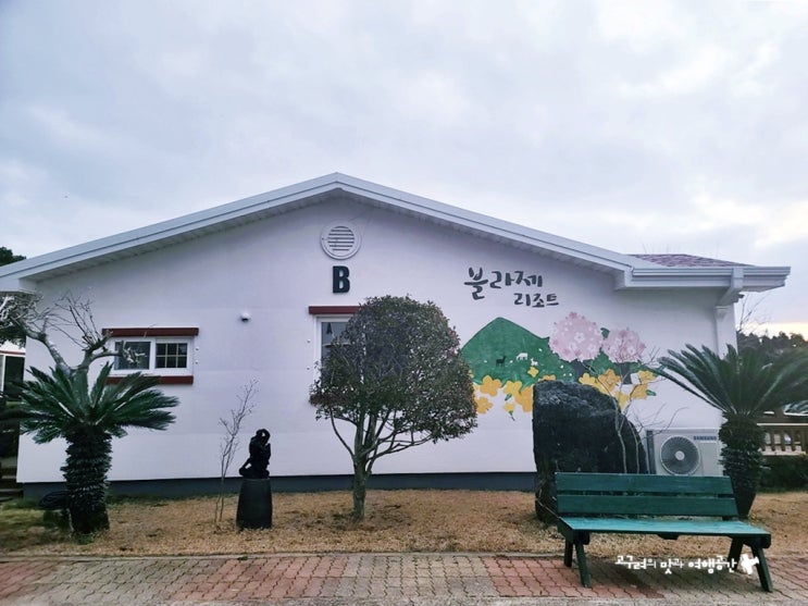 제주도 리조트 제주 서귀포 숙소 독채 펜션 블라제리조트 네이버 블로그
