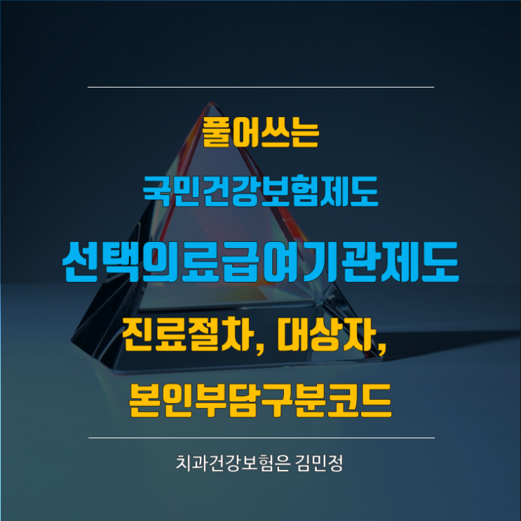 의료급여 수급권자 선택의료급여기관제도 진료절차 대상 본인부담구분코드 네이버 블로그