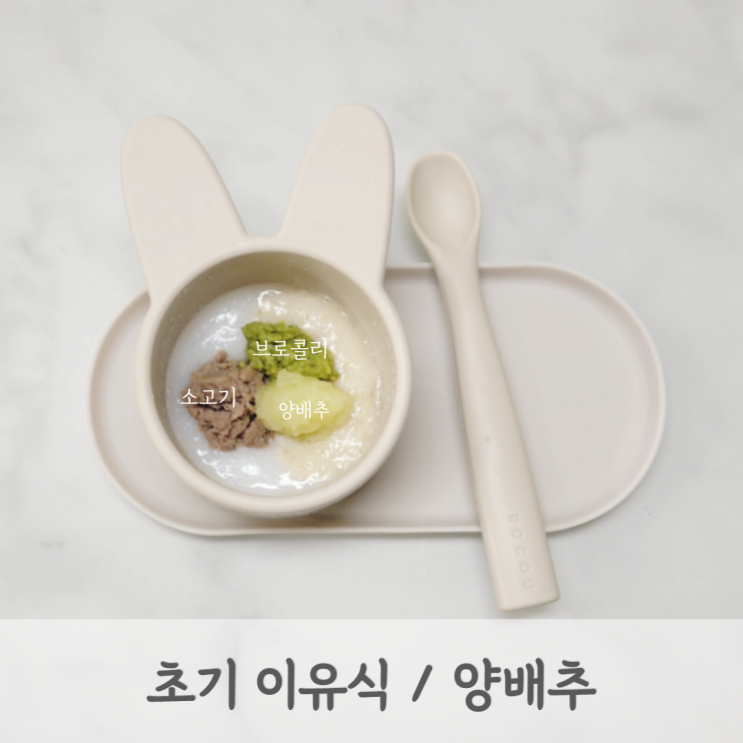 초기이유식 양배추미음 레시피 양배추 큐브 양배추 토핑 베이비무브 네이버 블로그