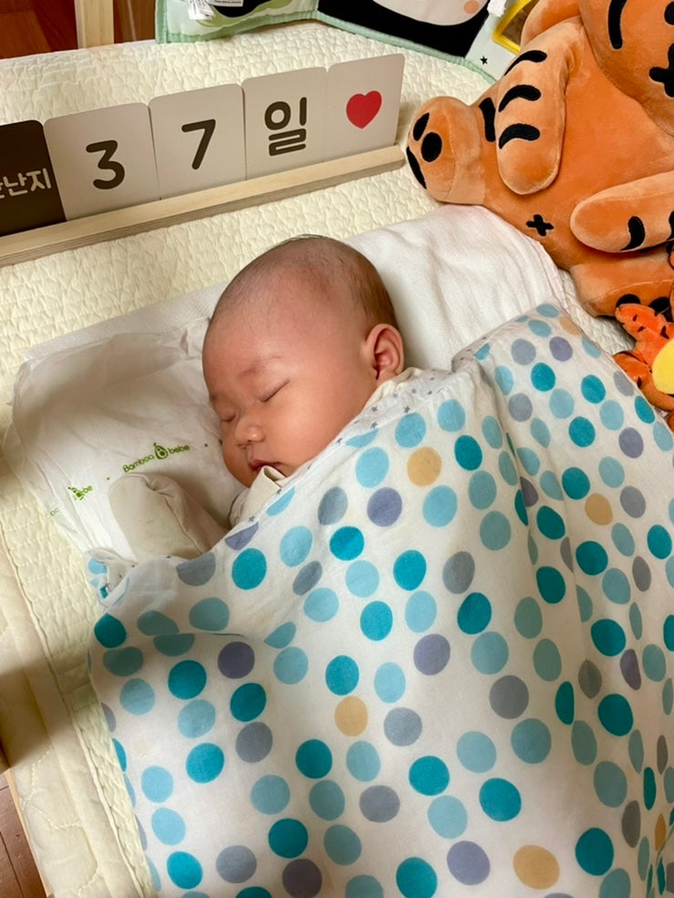 잠투정 모로반사 심한 태열있는 아기 머미쿨쿨 라이트로 꿀잠 성공 ♥ 네이버 블로그