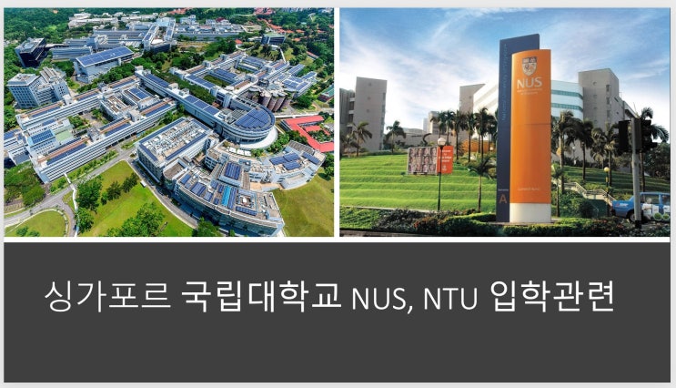싱가포르 국립대학교 NUS, NTU 입학 관련 : 네이버 블로그