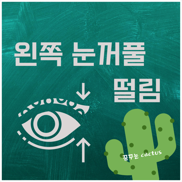 왼쪽 눈꺼풀 떨림 지피지기면 백전백승 네이버 블로그