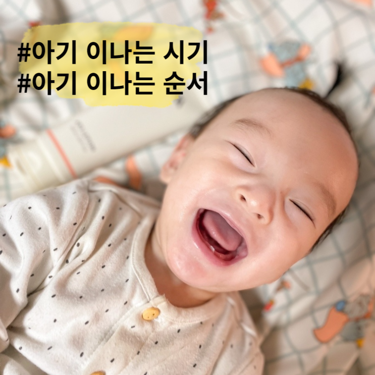 아기 이나는 순서 시기 이앓이 증상 열 챔프 네이버 블로그