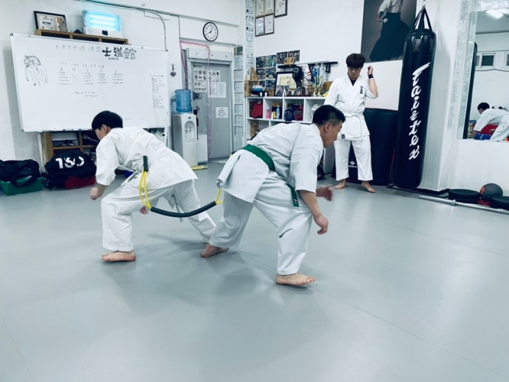 Mma의 세가지 필수 요소 타격 레슬링 주짓수 도봉역 종합격투기와 킥복싱 주짓수 극진가라데극진공수도 하는 사도관