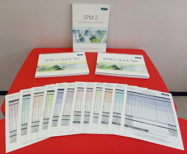 (SPM™-2) Sensory Processing Measure 2 : 네이버 블로그