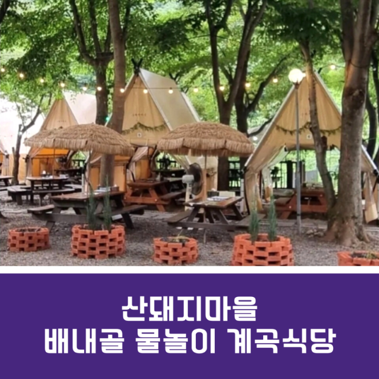 배내골 계곡식당 맛집 산돼지마을 맛있는 멧돼지 고기도 먹고 계곡에서 물장구도 치고 일석이조 나들이 네이버 블로그