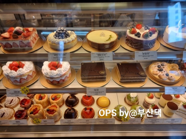 부산 3대 빵집 해운대 옵스ops마린시티점케익빵종류 구경해요 네이버 블로그