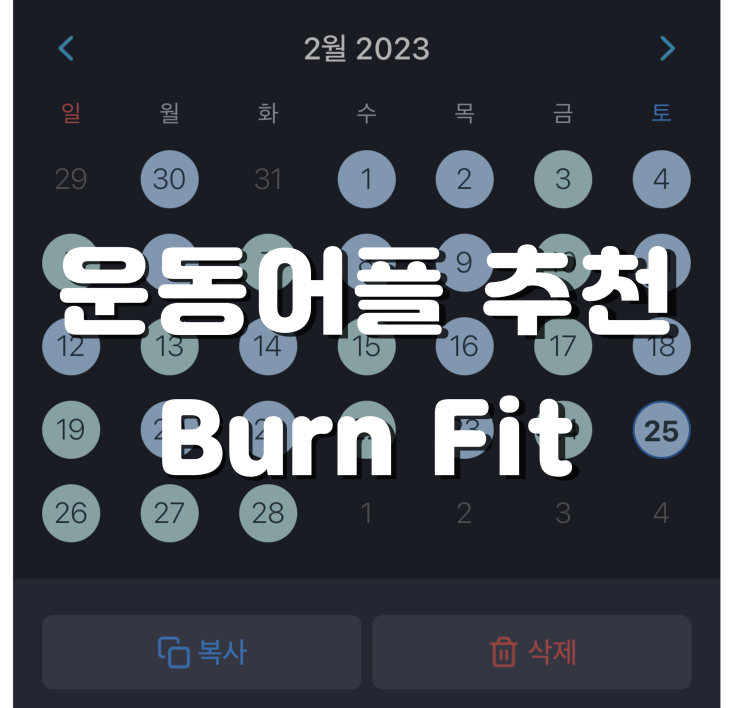 [운동어플 추천]운동기록 끝판왕 번핏(Burn.Fit) 무조건 쓰세요 : 네이버 블로그