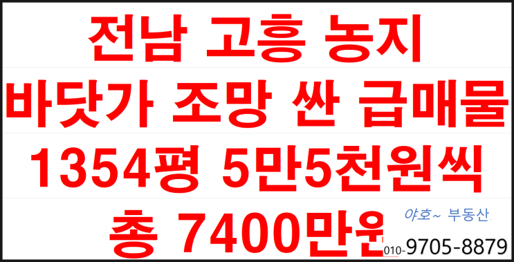 전남 고흥 바닷가 바다조망 농지 55000원씩 논답1354평 총 7400만원 싼 급매물 저렴한 부동산 토지 투자 땅 매매 전남