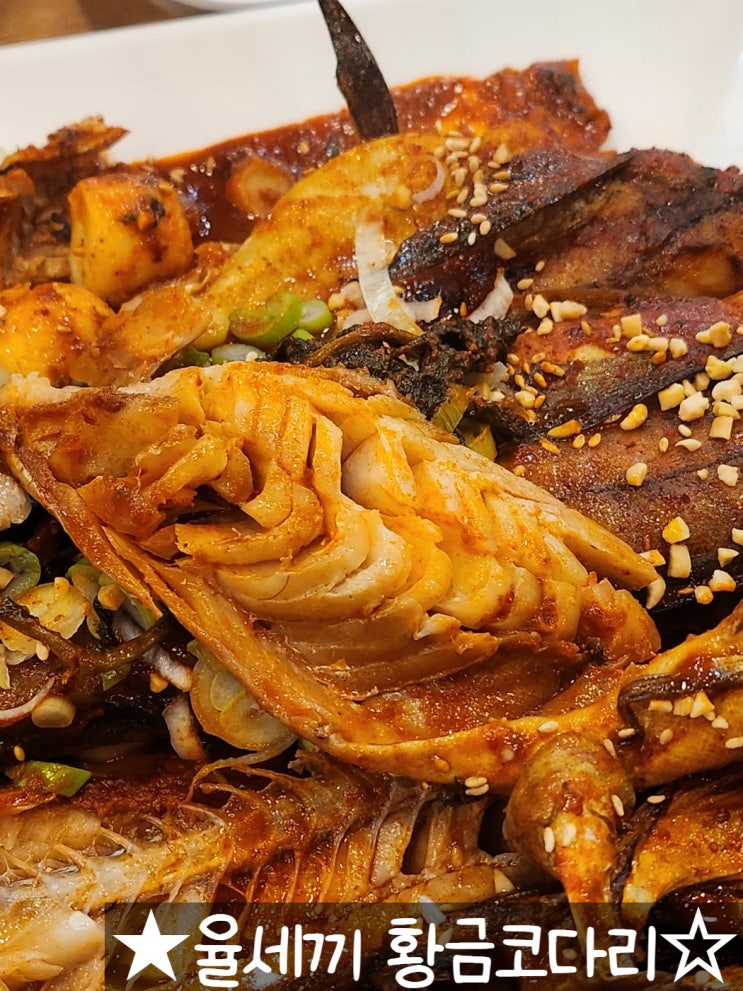 포항 황금코다리 장성점 포항 시래기코다리and막걸리 무한리필 포항 장성동 맛집 포항 장성동 밥집 포항 코다리 맛집