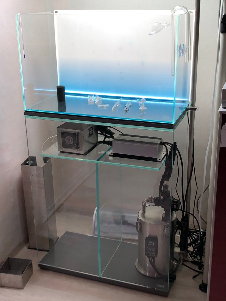 ADA 60p 리셋 : 네이버 블로그