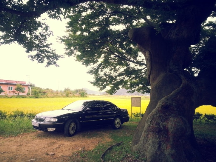 내 차 이야기(6)[SM520V] : 네이버 블로그