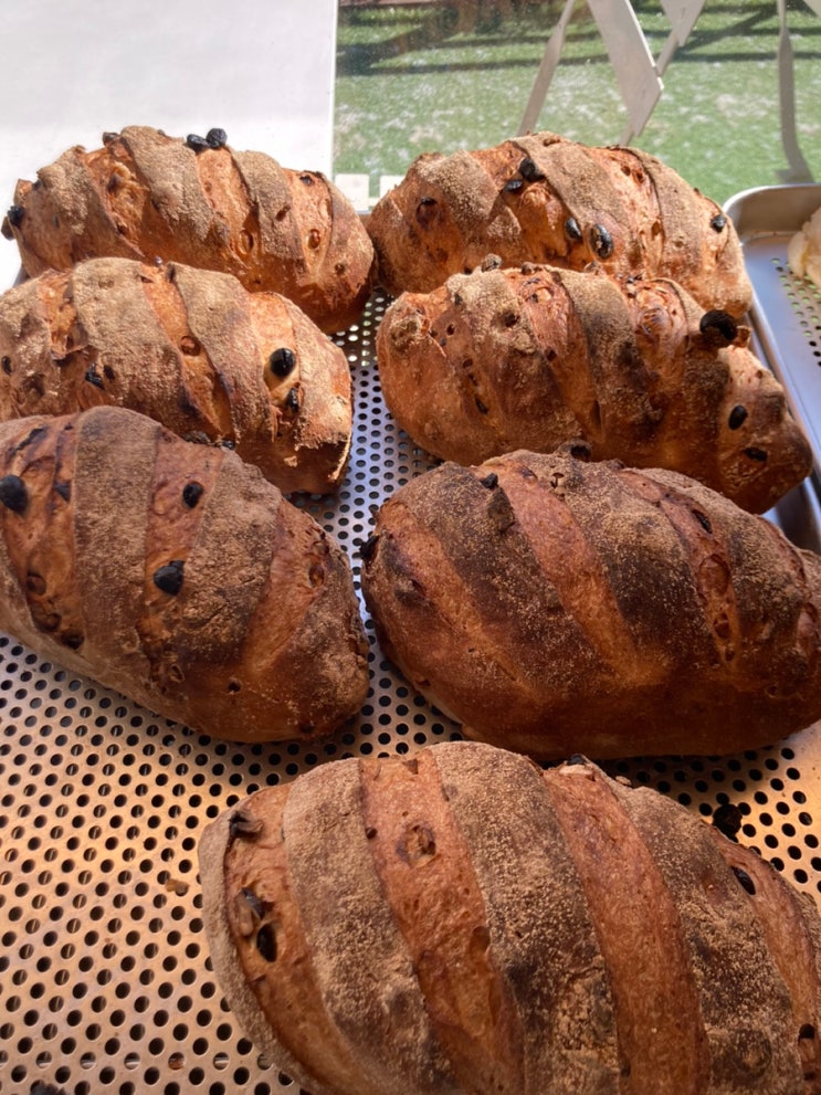 강릉 현지인 맛집🥖🥐베이커리 가루 술과 함께 먹으면 더 맛있는 빵 바질마늘바게뜨 네이버 블로그