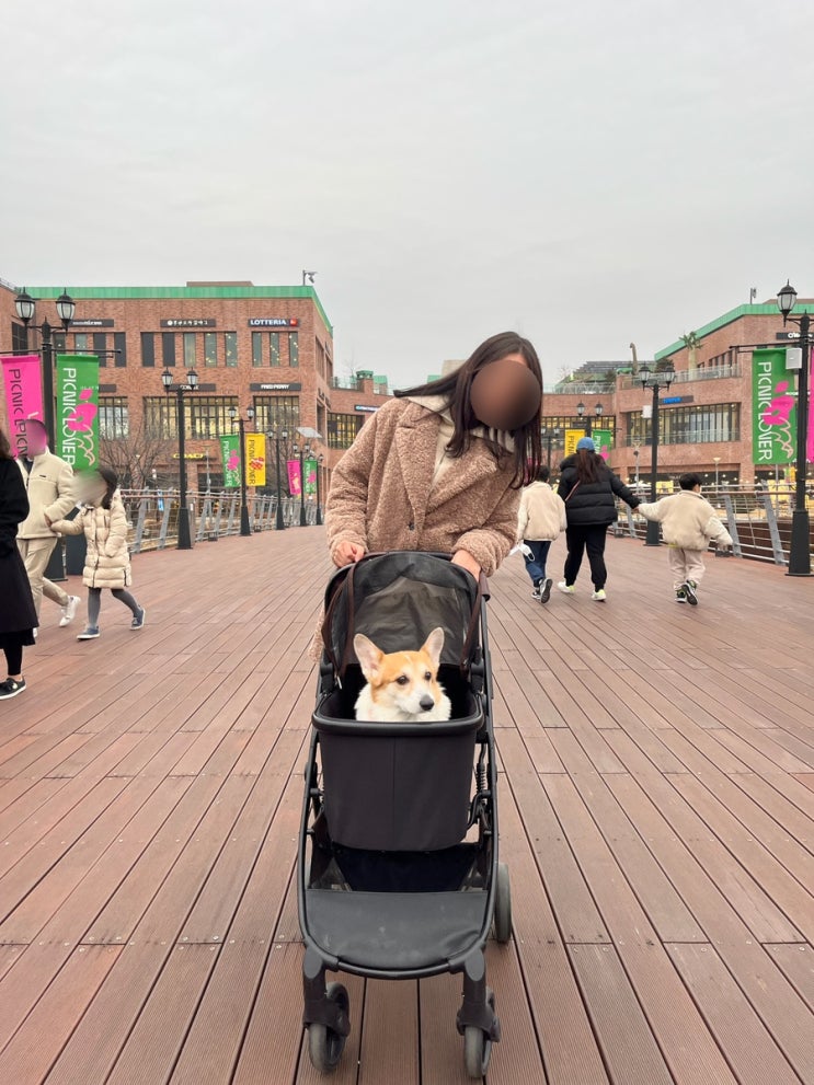 파주 애견동반 롯데프리미엄 아울렛 강아지 유모차 대여 (위치 및 이용후기) : 네이버 블로그