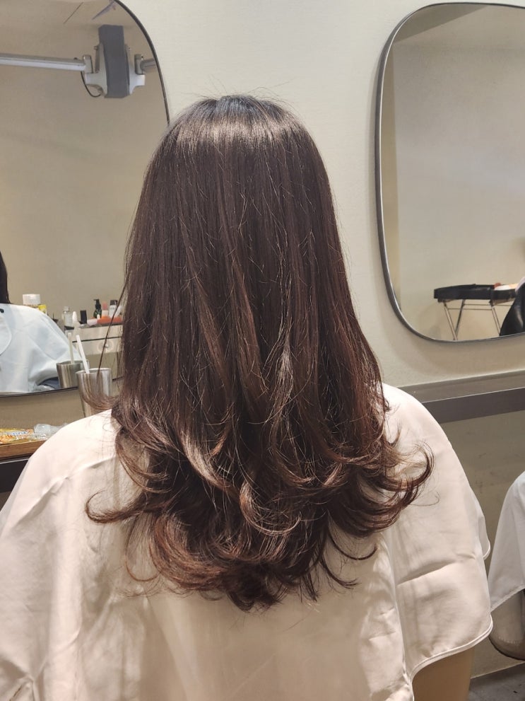 압구정로데오역 미용실 추천 꼼나나 본점 세은디자이너 레이어드c컬펌 후기 네이버 블로그