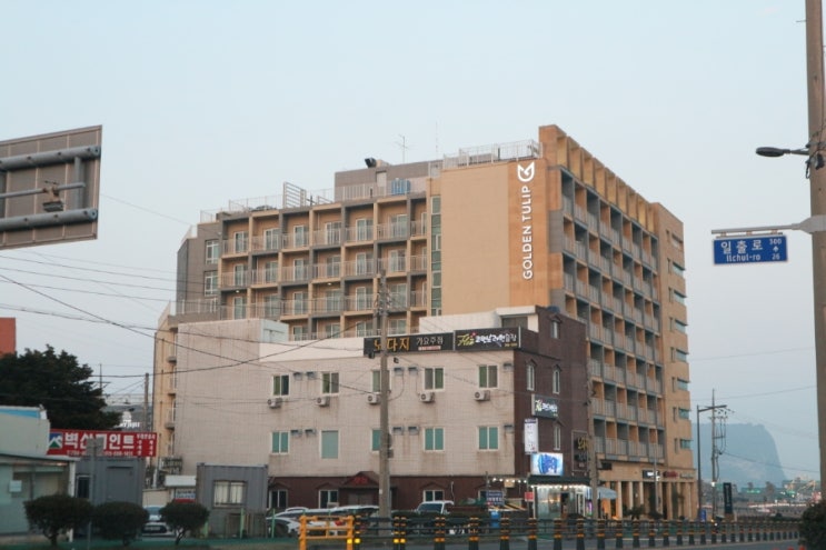 성산일출봉 숙소 골든튤립제주성산호텔 슈페리어 더블 후기 네이버 블로그