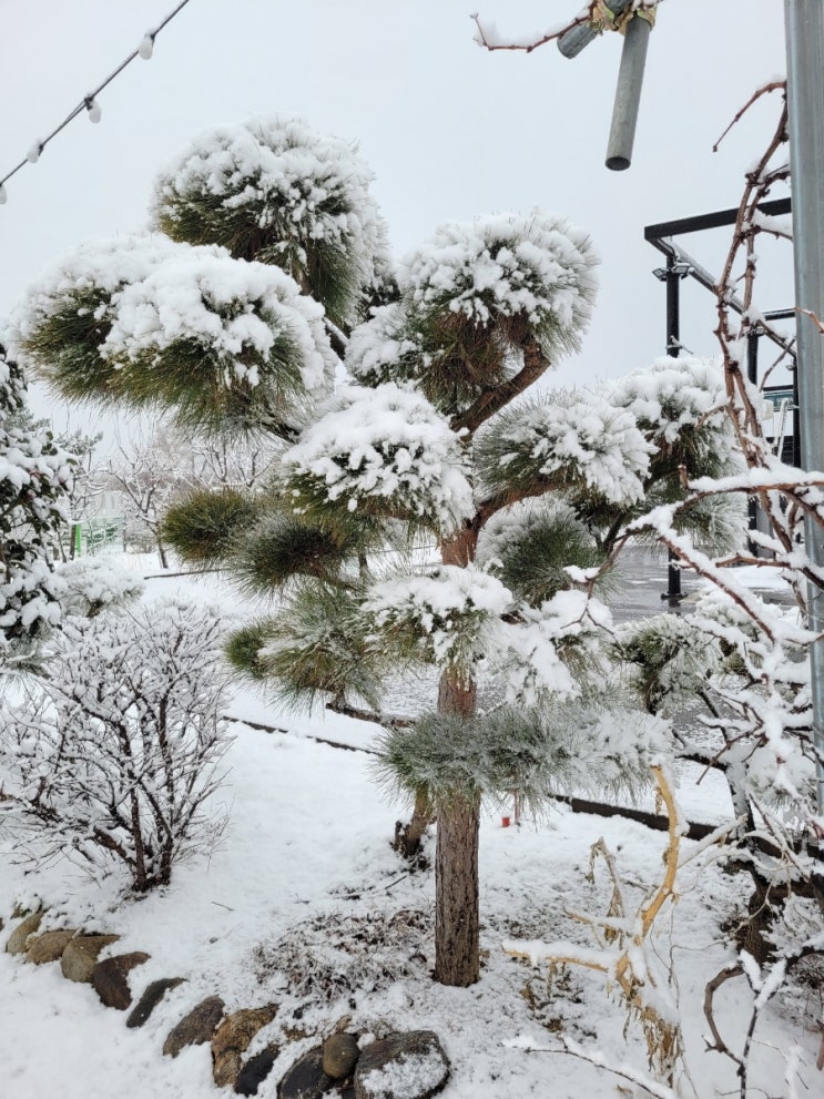 # 스테이 2572 : 네이버 블로그