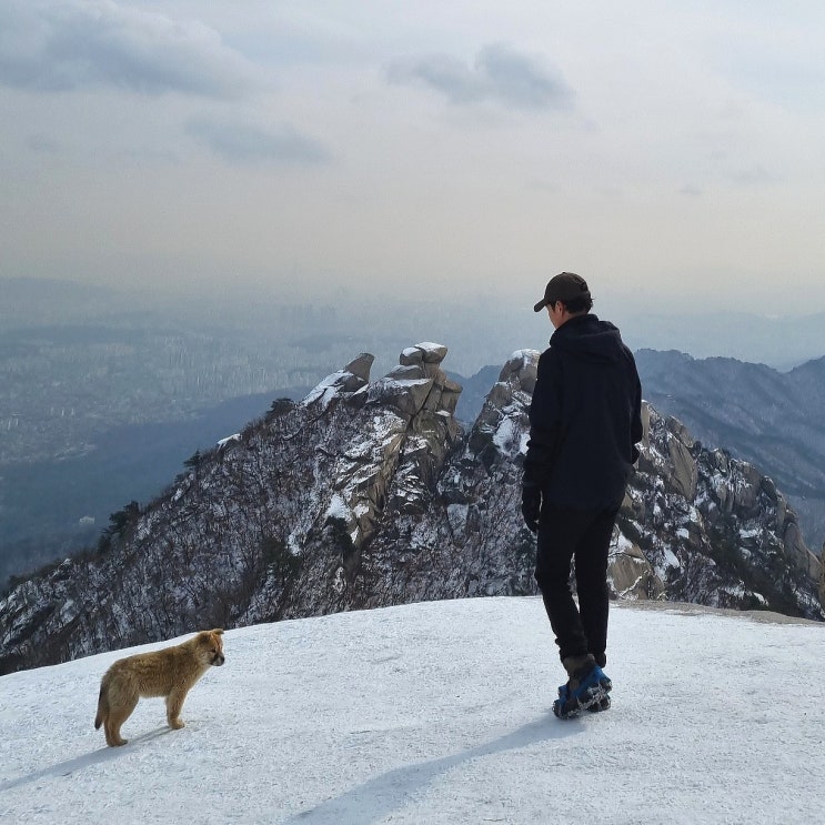 북한산 초보 등산코스 겨울 백운대 정상의 풍경 영봉 인수봉 거점 등산코스 산행 북한산국립공원 네이버 블로그