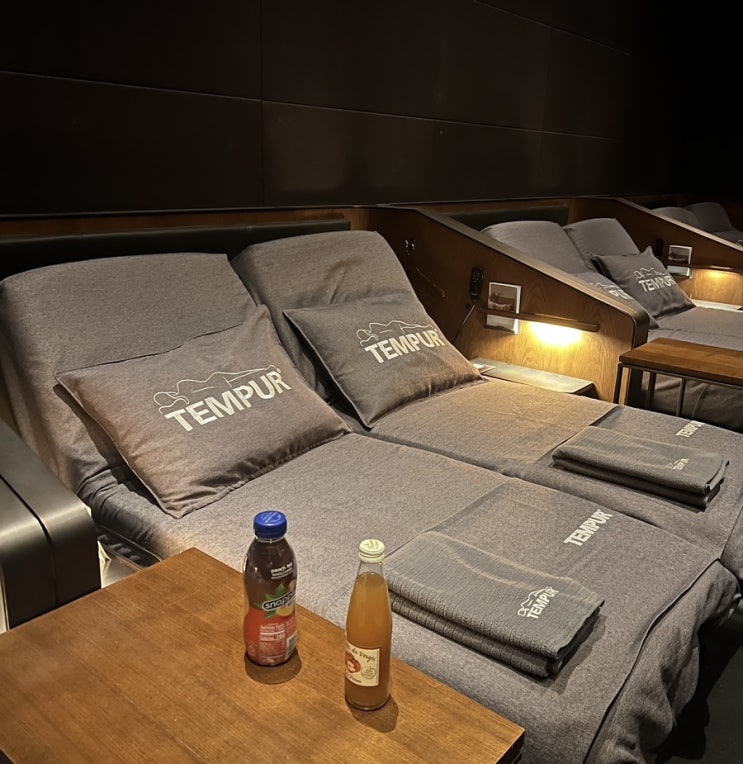 용산 CGV 템퍼 시네마 I 앤트맨과 와스프:퀀텀매니아 : 네이버 블로그