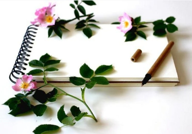 stay, remain, keep 차이점 파헤쳐 보기! : 네이버 블로그