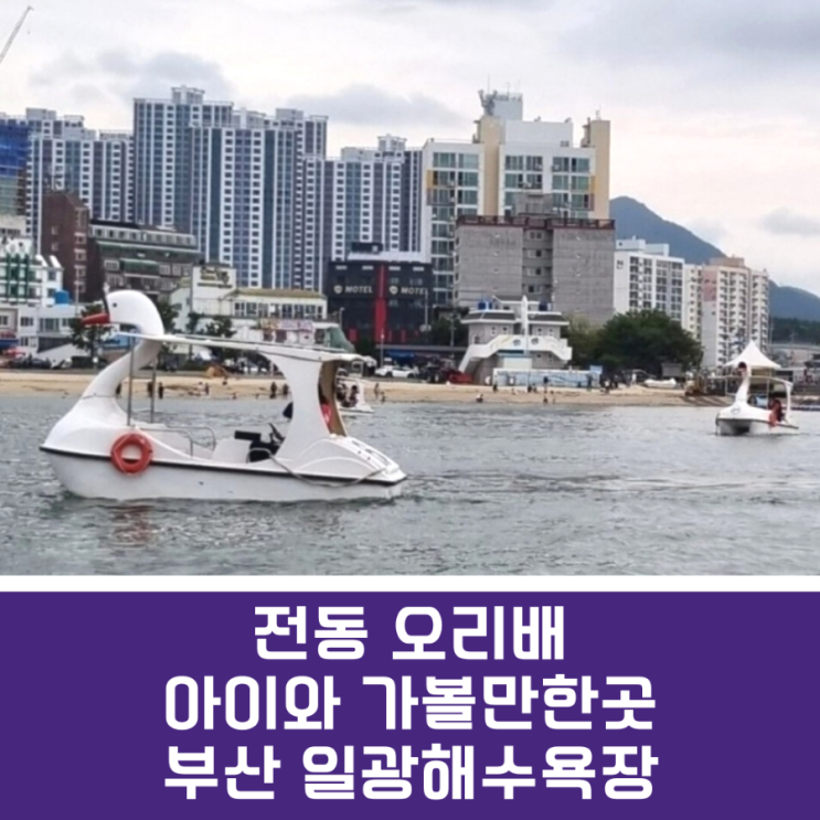부산 기장 일광해수욕장 전동 오리배 아이와 가볼만한 곳시원한 주말 나들이할인요금시간주차 네이버 블로그