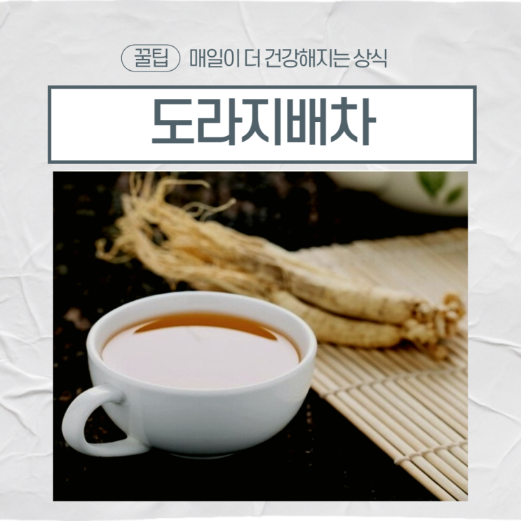 기관지에 좋은 도라지배차 만들기 배도라지차 효능 및 부작용 네이버 블로그