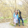 구례산수유마을 산수유축제 실시간개화상태 확인팁 네이버 블로그