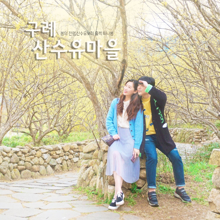 구례산수유마을 산수유축제 실시간개화상태 확인팁 네이버 블로그