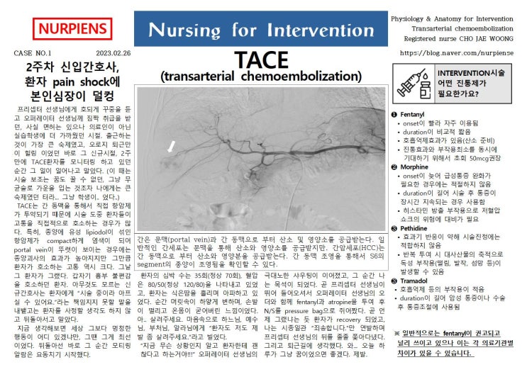[TACE, 경동맥화학색전술]Trans-Arterial Chemo-Embolization : 네이버 블로그