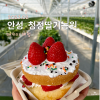 안성 청정딸기농원 패키지 체험 딸기 따기 딸기 퐁듀 미니케이크 만들기 아이랑 가볼 만한 곳 네이버 블로그
