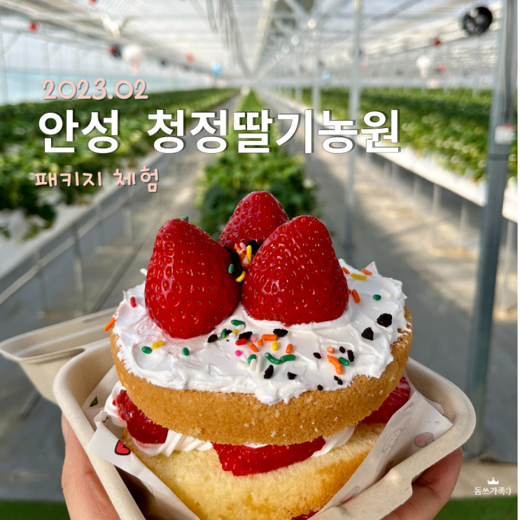 안성 청정딸기농원 패키지 체험 딸기 따기 딸기 퐁듀 미니케이크 만들기 아이랑 가볼 만한 곳 네이버 블로그