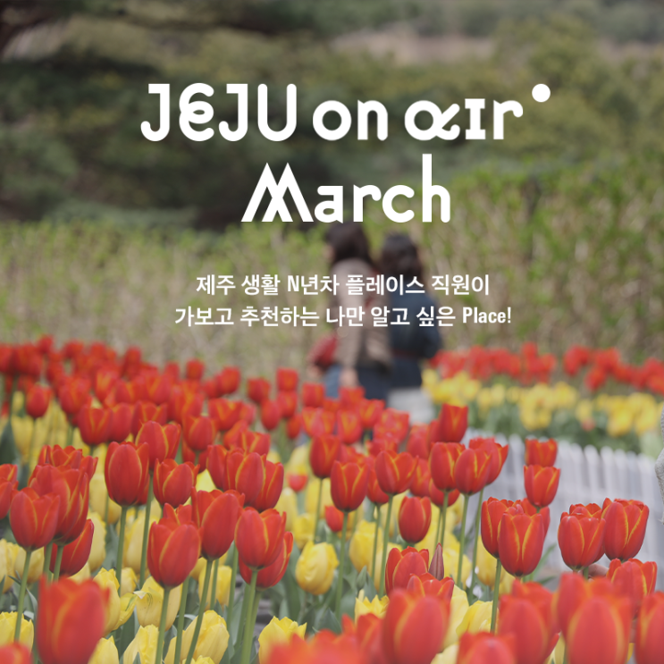 Jeju On Air 플레이스 캠프가 추천하는 3월 제주 명소and맛집2023년 봄 여행 제주여행 제주가볼만한곳