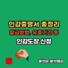 인감증명서 인터넷 발급방법 2024년 9월 30일부터 가능 인감도장 용도 유효기간 위임장 대리발급 네이버 블로그
