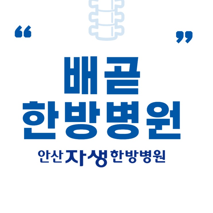 배곧한방병원 추천 목 디스크척추질환 케어가 필요할 땐 네이버 블로그
