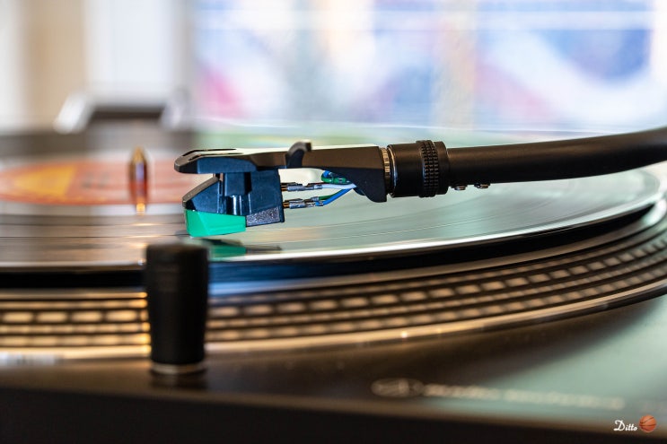 OPCD 바이닐 창동 LP 레코드 음악 감상실 LP LIBRARY : 네이버 블로그