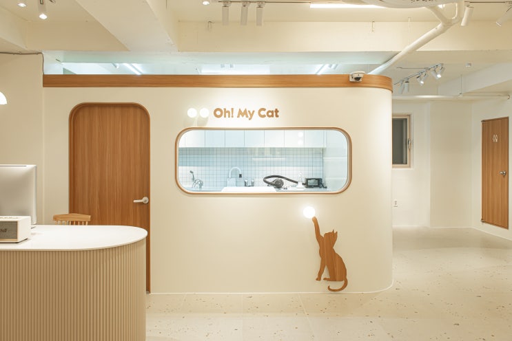 의정부 고양이미용&호텔 오마이캣 오픈 합니다~:) : 네이버 블로그