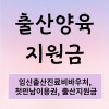 임신 출산 진료비 바우처 첫만남이용권 출산지원금 정리 네이버 블로그